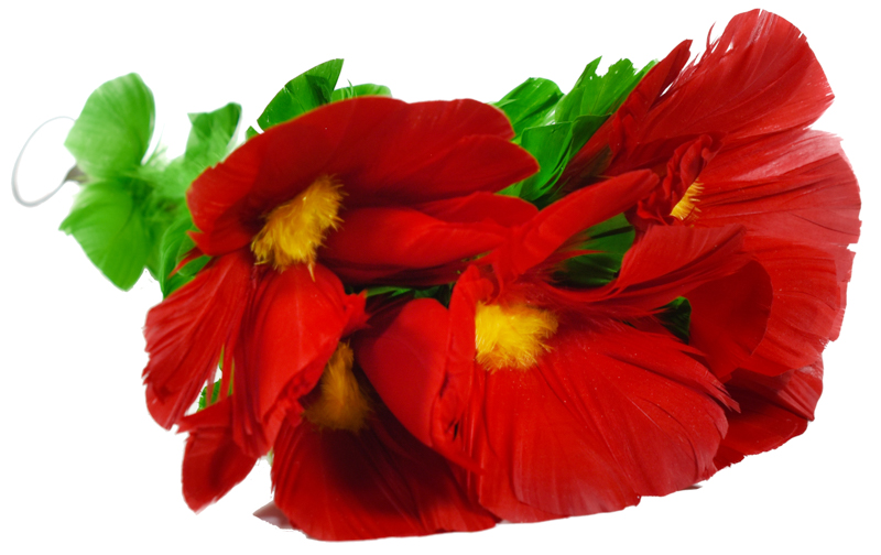 Red Flower Bouquet - Quicker than the Eye