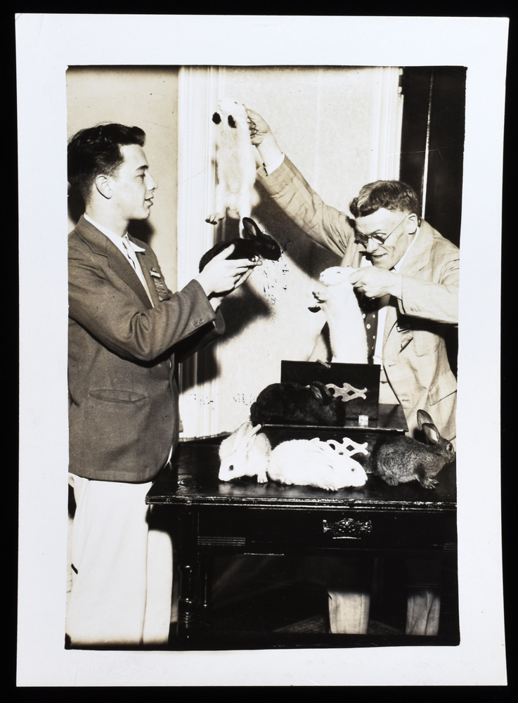 Billy Russell Photograph - Quicker than the Eye