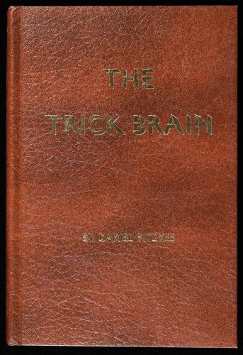 The Trick Brain - Quicker than the Eye